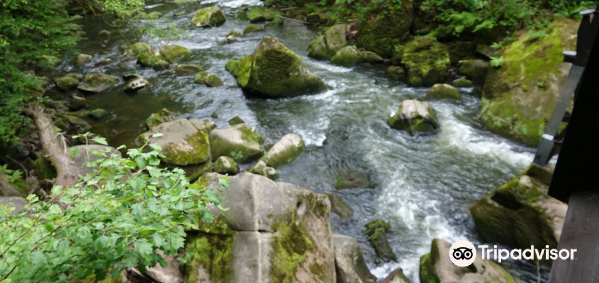 Things to do in Irrel (2025): Top nearby activities,popular attractions ...