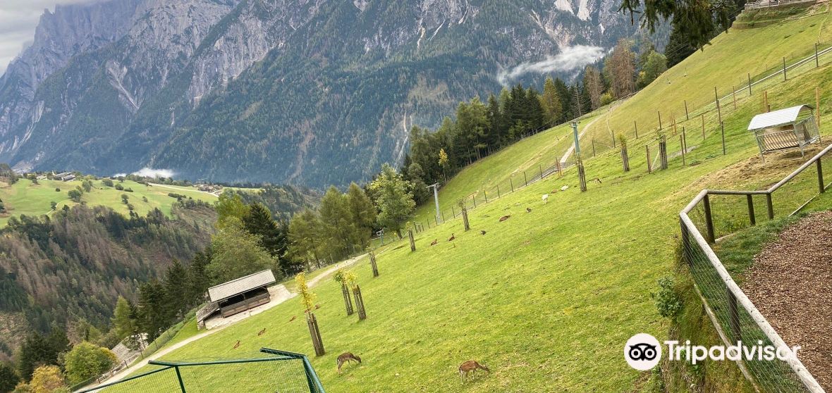 Things to Do in Gemeinde Assling in 2024 - Top Attractions, Local Food ...