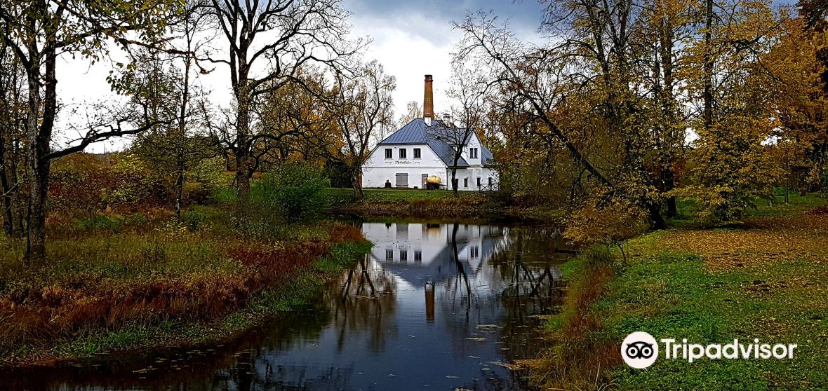 Things to do in Plavinas (2025): Top nearby activities,popular ...