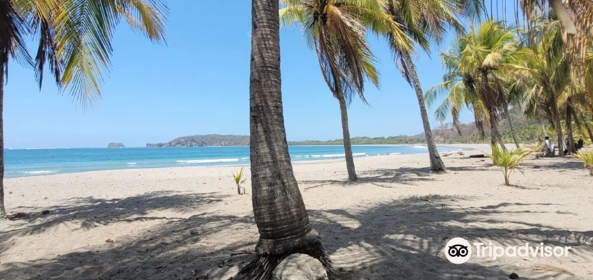 Carrillo Travel Guide 2023 - Things to Do, What To Eat & Tips | Trip.com