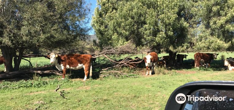 Berrigal Travel Guide 2024 - Things to Do, What To Eat & Tips | Trip.com