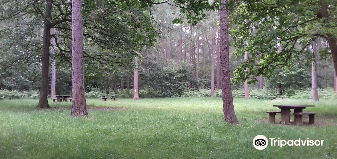 Wakerley Travel Guide 2025: Top Attractions, Things to Do & Deals ...