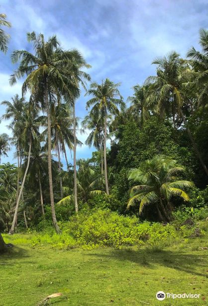 10 Hotel Terbaik dekat Gapang Beach, Iboih| Trip.com