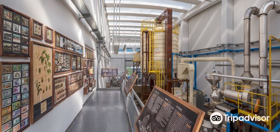 Things to do in Arco (2025): Top nearby activities,popular attractions ...