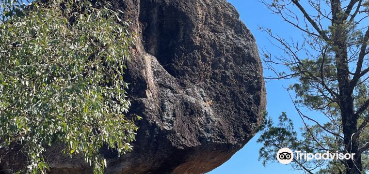 Warialda Travel Guide 2024 - Things to Do, What To Eat & Tips | Trip.com