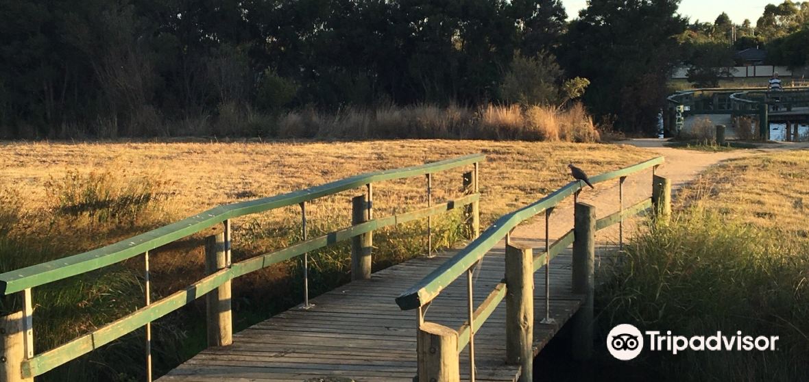 Hampton Park Travel Guide 2024 - Things to Do, What To Eat & Tips ...