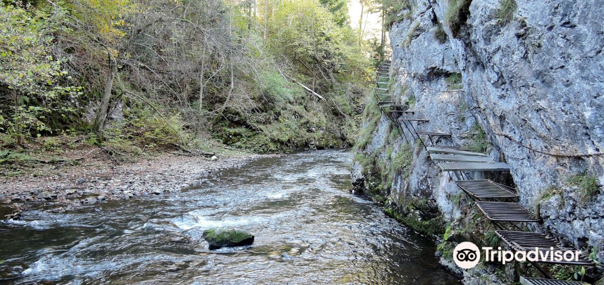 Things to Do in Hrabusice in 2024 - Top Attractions, Local Food, Hotels ...