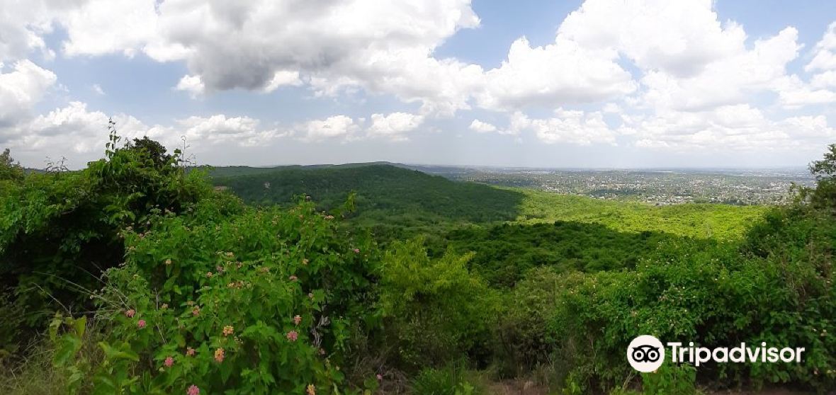 Things to Do in Mkuranga in 2024 - Top Attractions, Local Food, Hotels ...