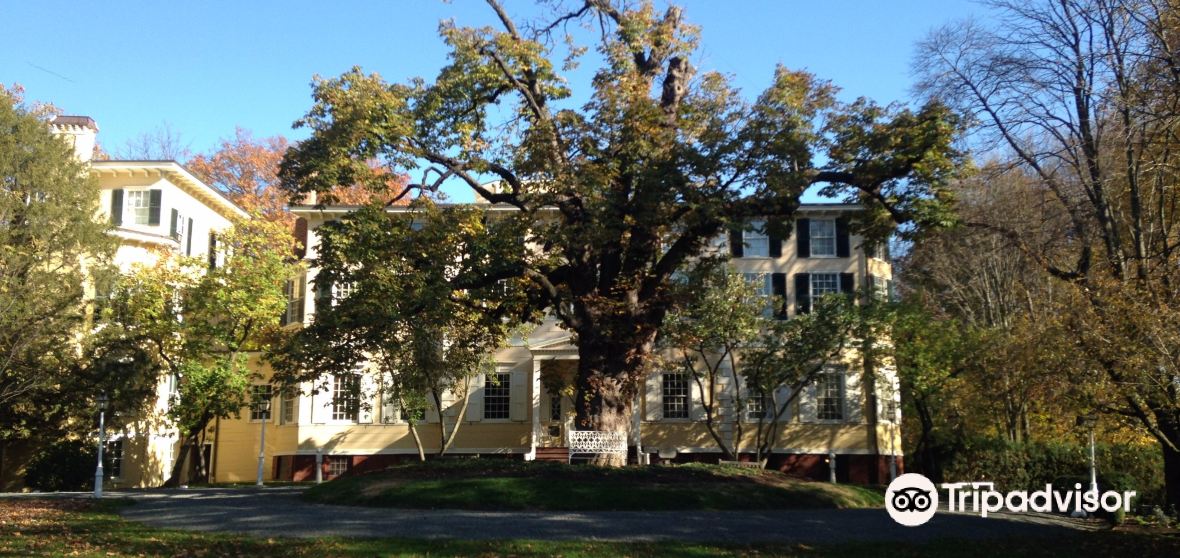 Hillside Travel Guide 2023 - Things to Do, What To Eat & Tips | Trip.com