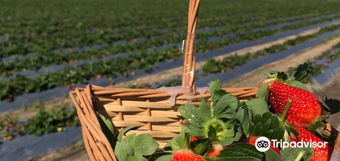 Things to Do in Elimbah in 2025 - Top Attractions, Local Food, Hotels ...