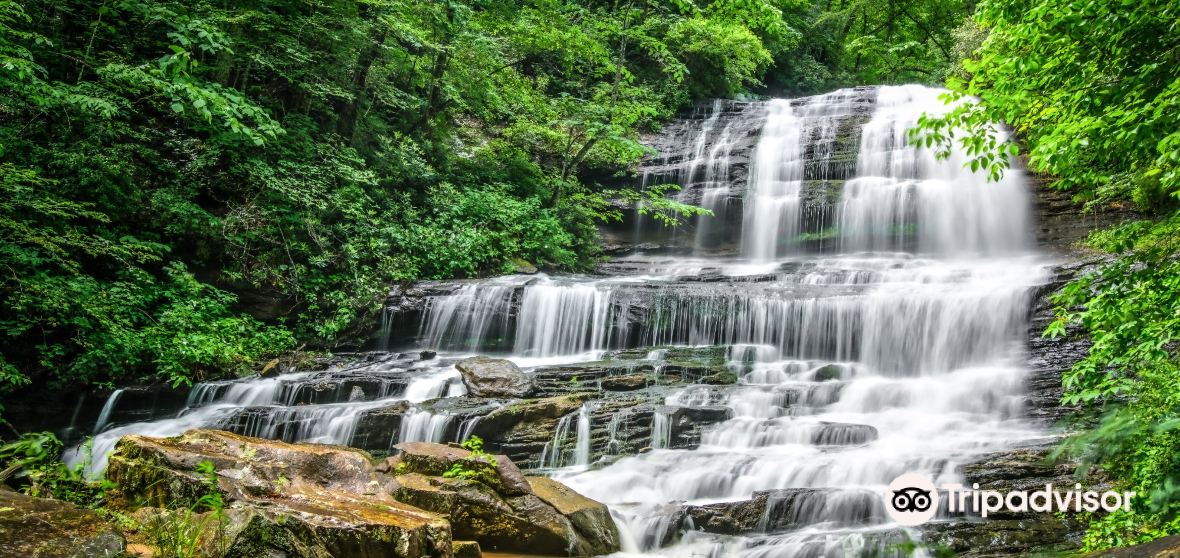 Polk County Travel Guide 2025: Top Attractions, Things to Do & Deals ...