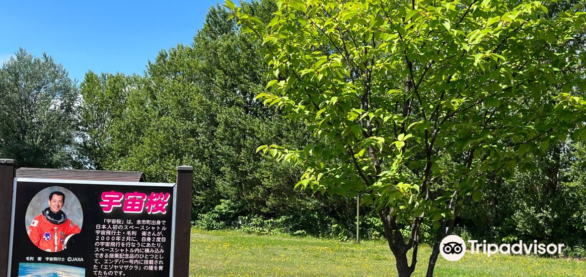 Things to Do in Yoichi in 2025 - Top Attractions, Local Food, Hotels ...