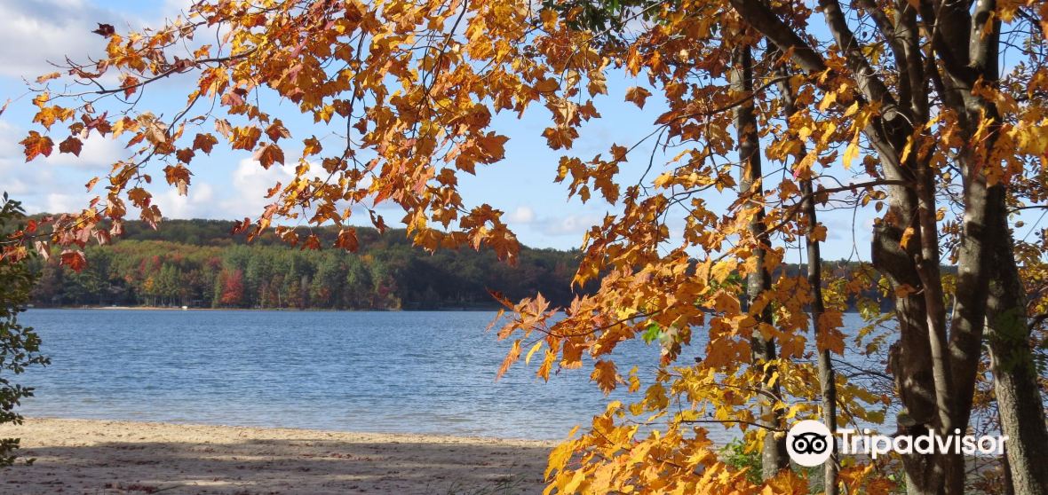 Things to Do in Otsego County in 2024 - Top Attractions, Local Food ...