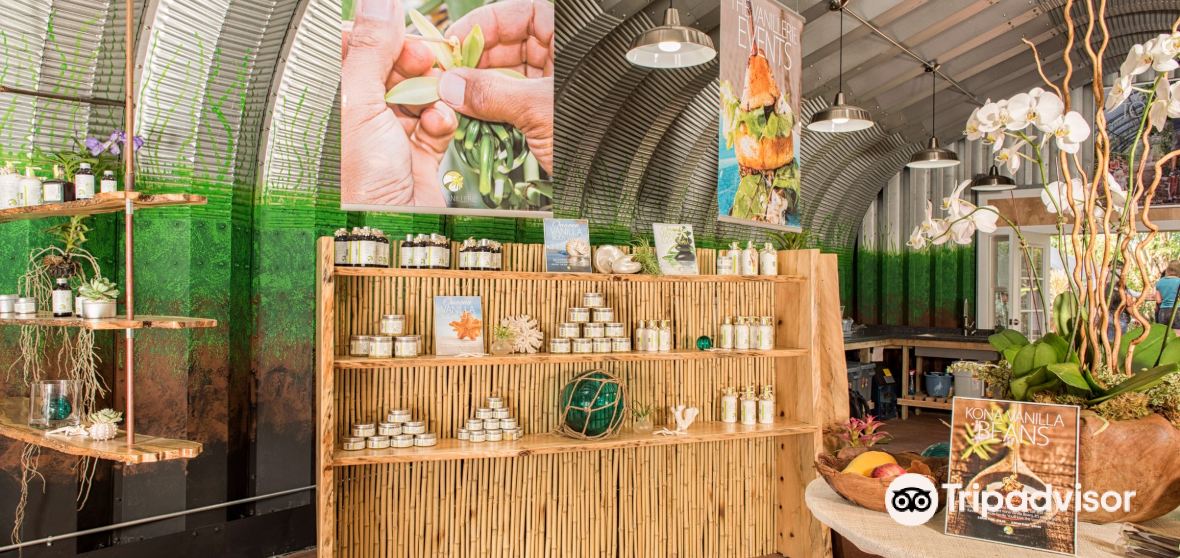 Things to do in Kalaoa (2025): Top nearby activities,popular ...