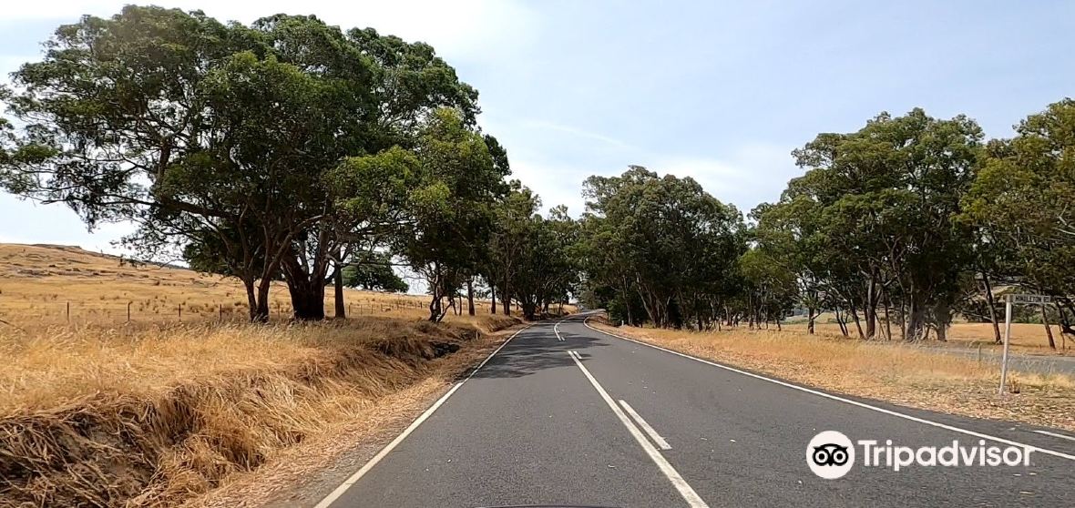 แนะนำการเดินทาง Granya 2023 - สิ่งที่ควรทำ, อาหารที่ควรรับประทาน & ทิป ...