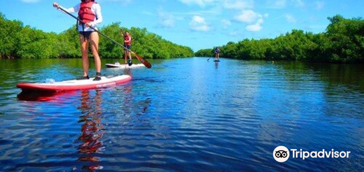 Cape Coral Travel Guide 2024 - Things to Do, What To Eat & Tips | Trip.com