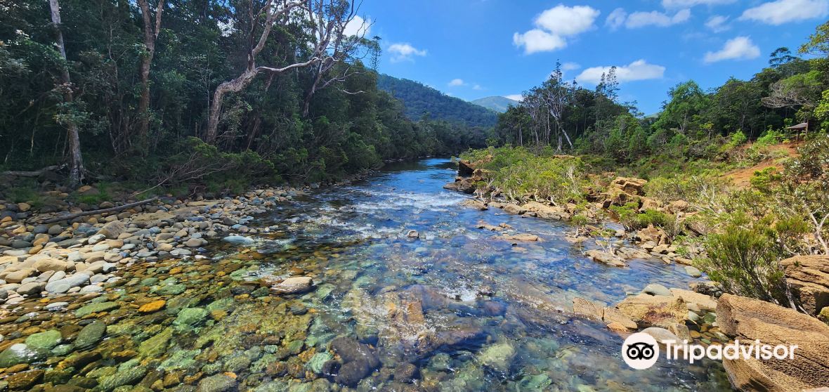 Things to Do in Yate in 2024 - Top Attractions, Local Food, Hotels ...