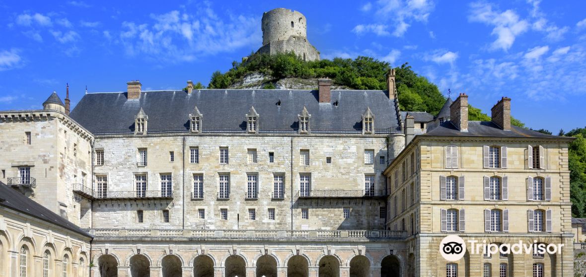 La Roche-Guyon Travel Guide 2026: Top Attractions, Things to Do & Deals ...
