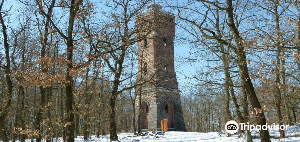 แนะนำการเดินทาง Pohl 2024 - สิ่งที่ควรทำ, อาหารที่ควรรับประทาน & ทิปการ ...