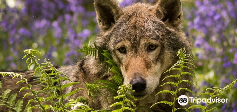 Heythrop Travel Guide 2026: Top Attractions, Things to Do & Deals ...