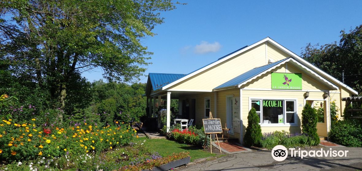 Things to Do in Mascouche in 2024 - Top Attractions, Local Food, Hotels ...