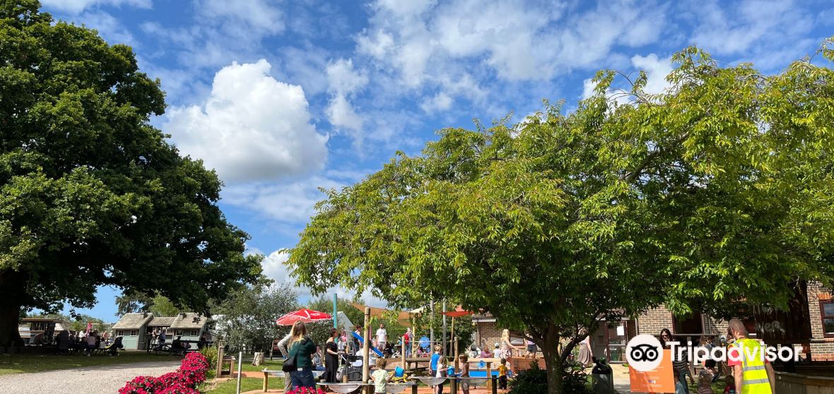 Things to do in Westergate (2025): Top nearby activities,popular ...