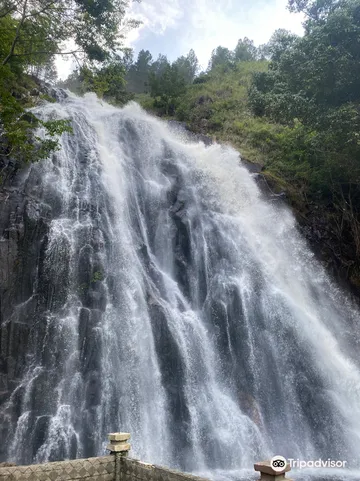 Harga Tiket Toba Transporter [2026] - Promosi, Waktu Operasi & Ulasan