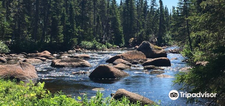 Things to Do in Main Brook in 2024 - Top Attractions, Local Food ...