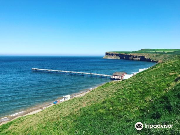 Les 10 meilleures Maisons de campagne à Saltburn-by-the-Sea | Trip.com