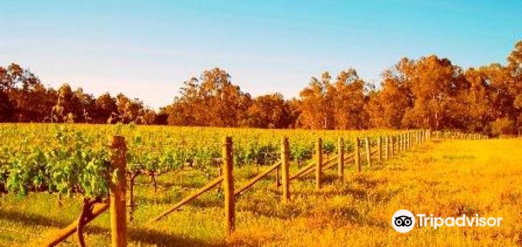 Things to Do in North Boyanup in 2025 - Top Attractions, Local Food ...