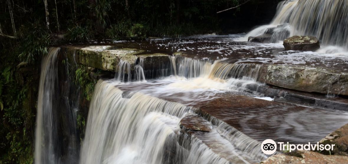 Things to Do in Tongod in 2024 - Top Attractions, Local Food, Hotels ...