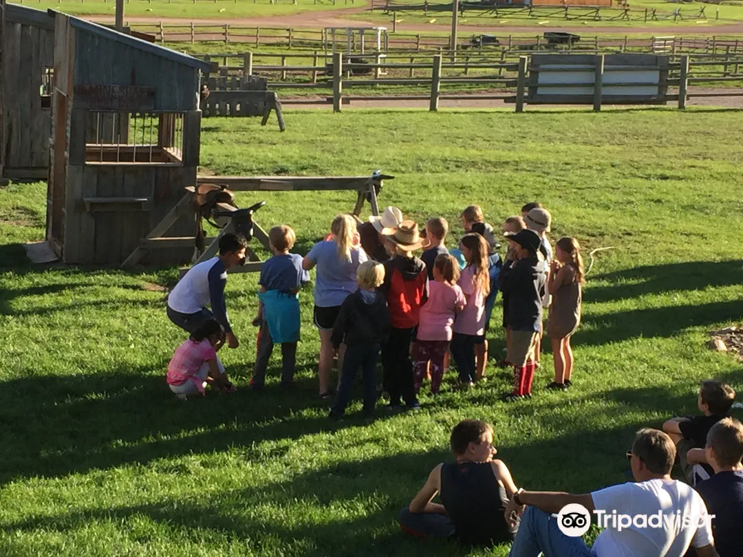 Circle B Ranch Chuckwagon Tickets [2025] - Promos, Prices, Reviews ...