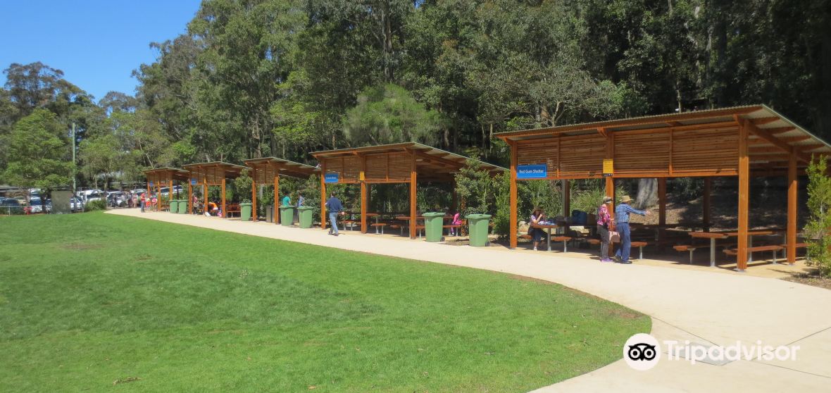 Kotara Travel Guide 2025: Top Attractions, Things to Do & Deals | Trip ...