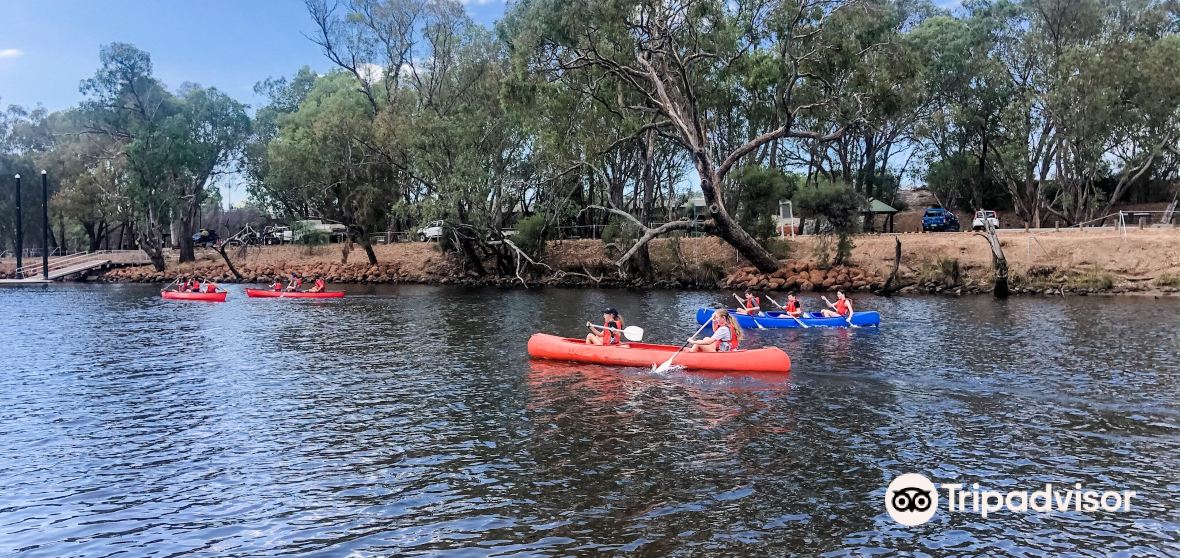 แนะนำการเดินทาง Middle Swan 2024 - สิ่งที่ควรทำ, อาหารที่ควรรับประทาน ...