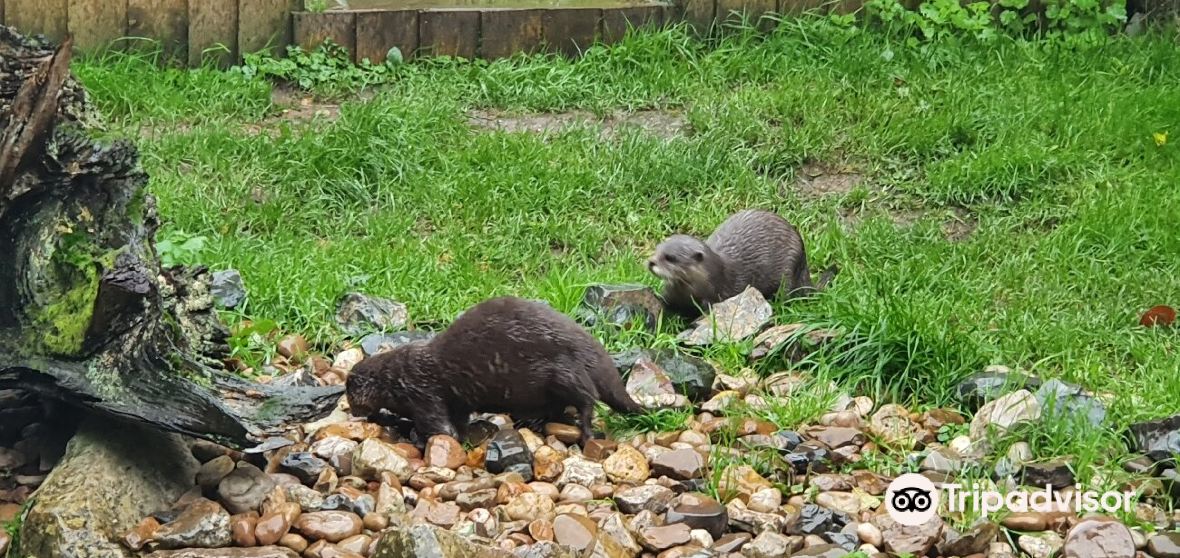 เที่ยวTalaton (2024) - ที่เที่ยวใน Talaton, กิจกรรมสนุกๆ, โรงแรม ...