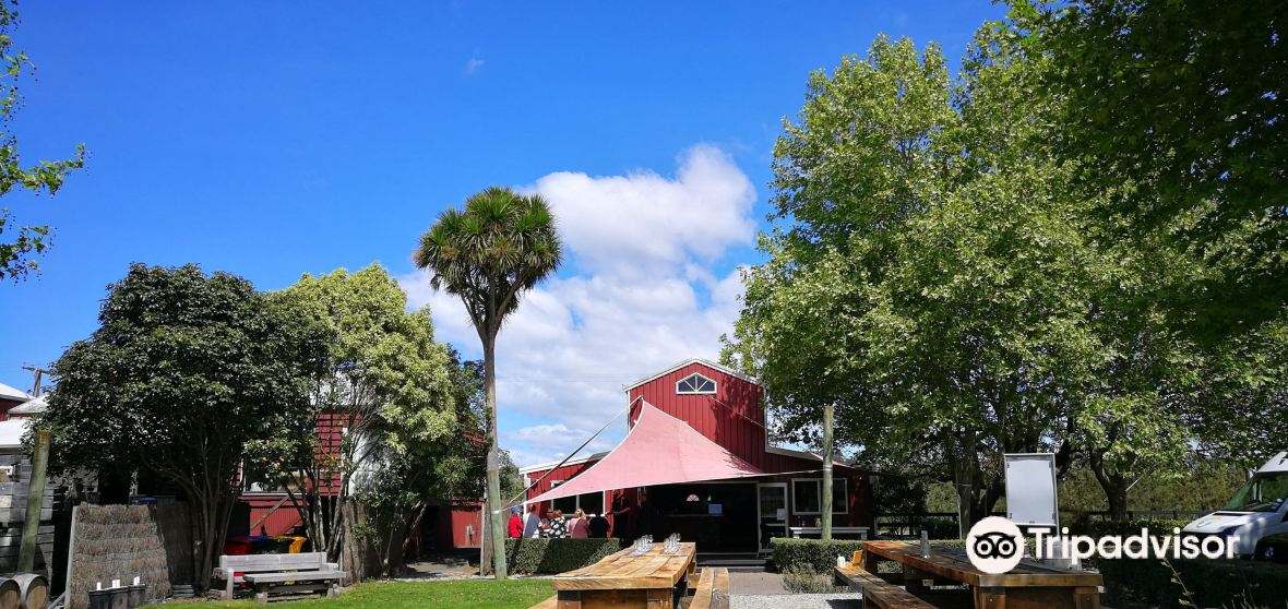 Puketapu Travel Guide 2024 - Things to Do, What To Eat & Tips | Trip.com