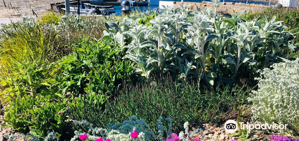 Hoganas Municipality Travel Guide 2023 - Things to Do, What To Eat ...