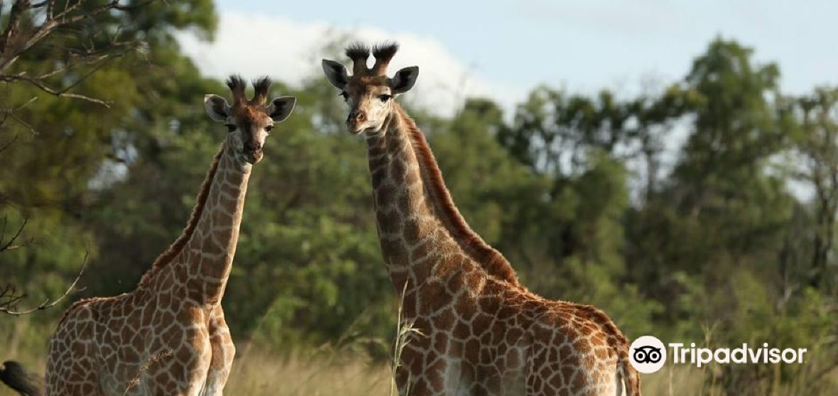 Things to Do in Naboomspruit in 2025 - Top Attractions, Local Food ...