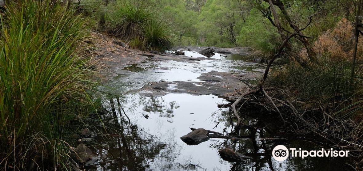 Jardee Travel Guide 2025: Top Attractions, Things to Do & Deals | Trip ...