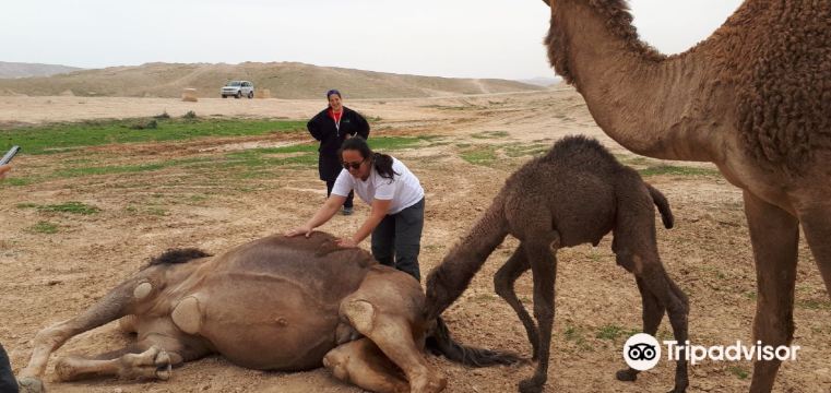 구라얏여행 (2024) - 인기 여행지, 추천 코스, 맛집 정보 | 트립닷컴