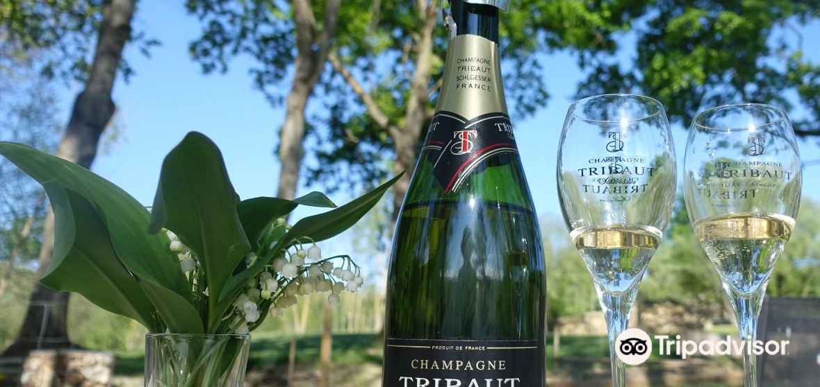 Romery Travel Guide 2023 - Things to Do, What To Eat & Tips | Trip.com