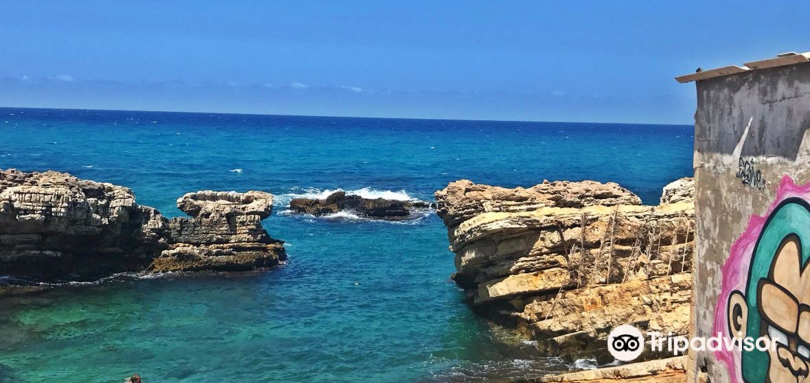 Things to Do in Kfar Aabida in 2025 - Top Attractions, Local Food ...