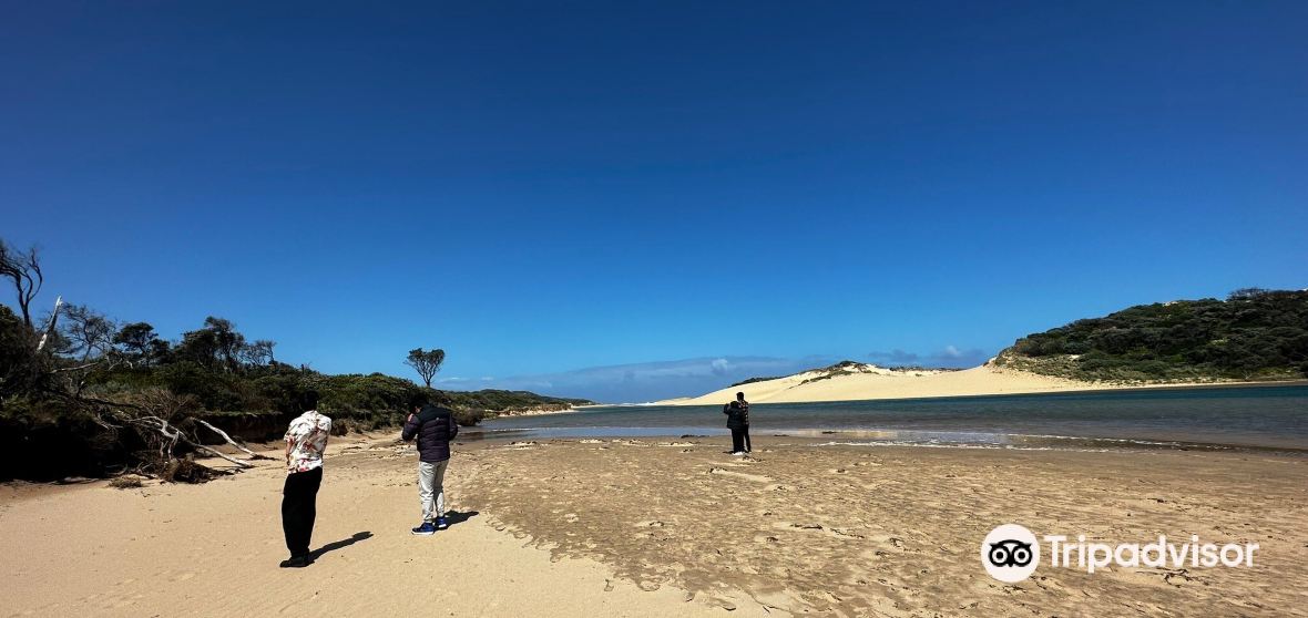 Things to Do in Dalyston in 2024 - Top Attractions, Local Food, Hotels ...