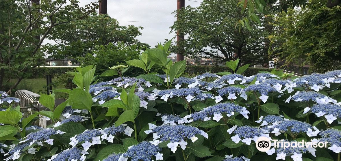 เที่ยวSeya Ward (2024) - ที่เที่ยวใน Seya Ward, กิจกรรมสนุกๆ, โรงแรม ...