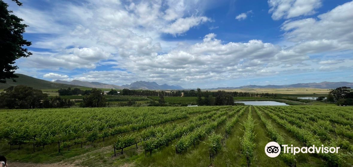 Kranskop Travel Guide 2025: Top Attractions, Things to Do & Deals ...