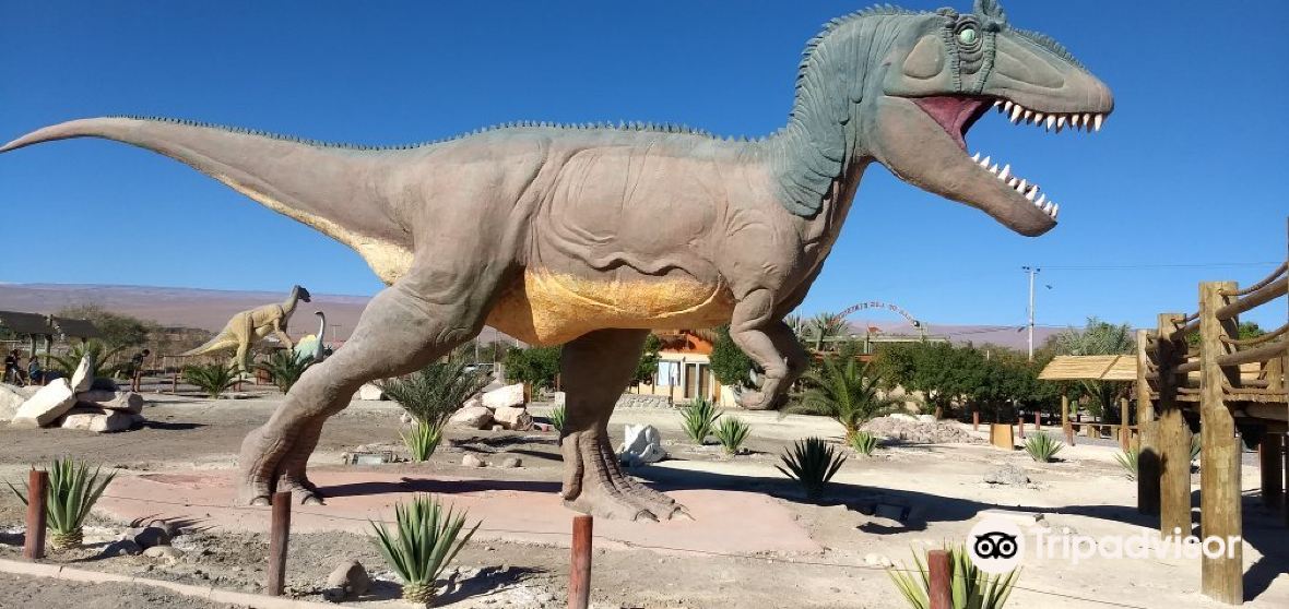 Things to Do in Pica in 2024 - Top Attractions, Local Food, Hotels ...