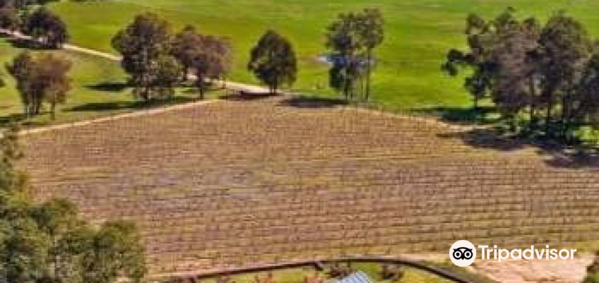 Things to Do in Upper Capel in 2024 - Top Attractions, Local Food ...