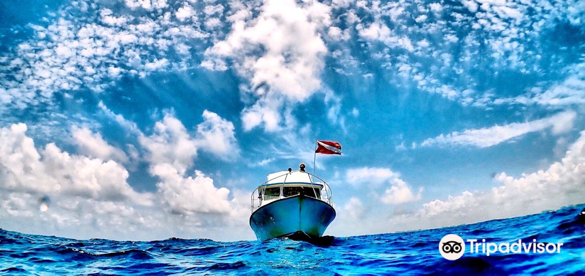 Things to do in Boynton Beach (2025): Top nearby activities,popular ...