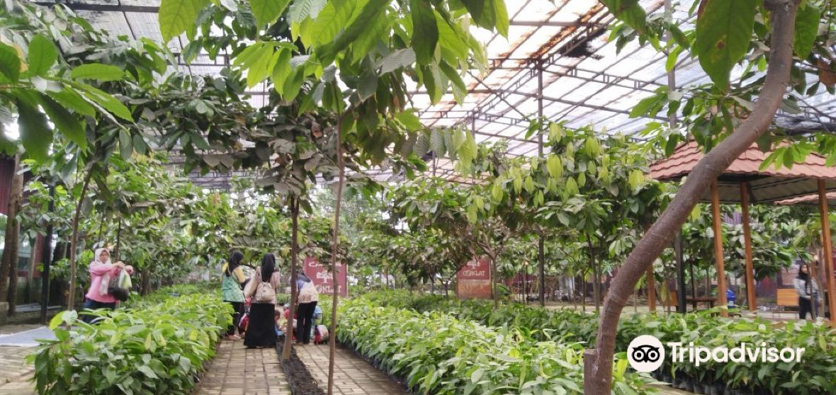 Blitar Regency여행 (2024) - 인기 여행지, 추천 코스, 맛집 정보 | 트립닷컴