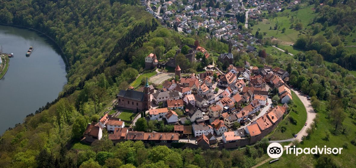 Things to do in Neckargemund (2025): Top nearby activities,popular ...